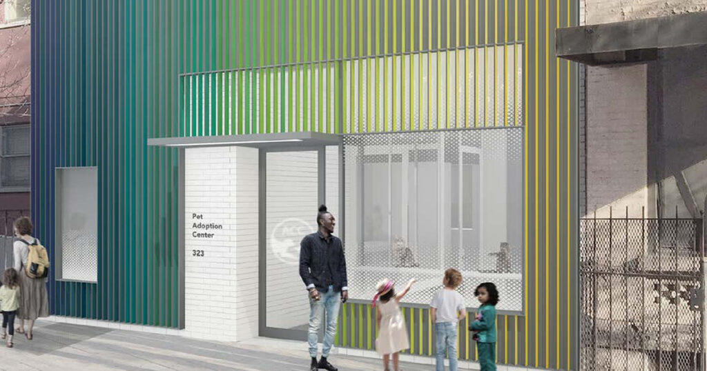 Manhattan Pet Adoption Center || Studio Joseph || Architect of the Year ...