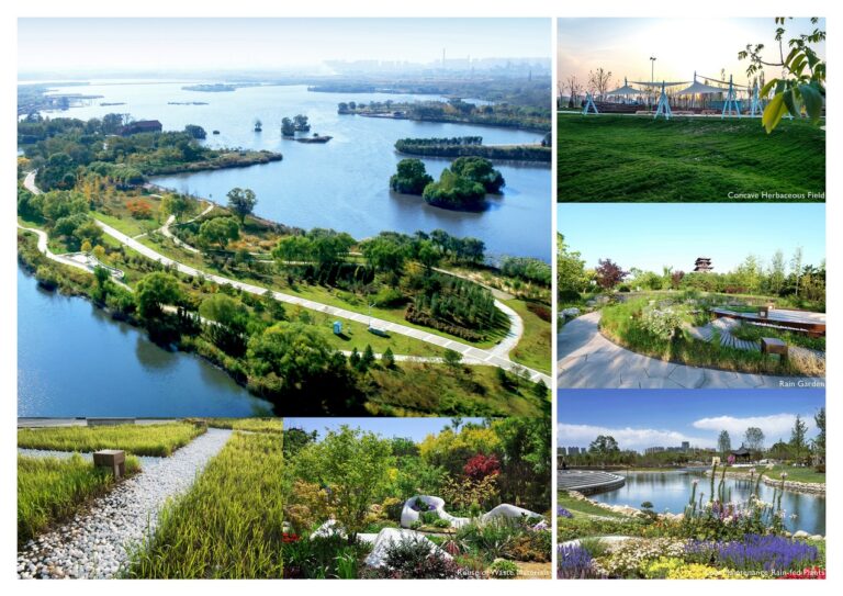 Turning Brownfields into an Urban Park: The Ecological Regeneration of ...